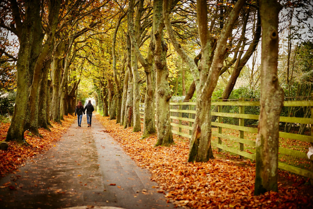 Fall Into Autumn…. | Channel Escapes